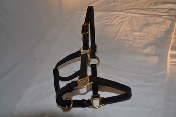 NEW USA Leather Halter, brass hardware mini to Hackney | Herron's Tack